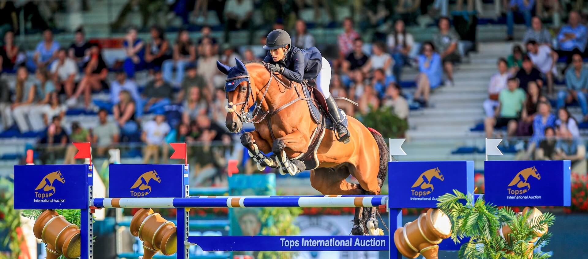 Tops International Arena Tickets 2024